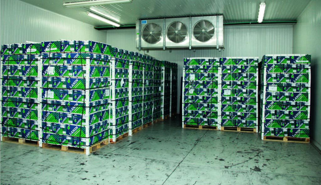 La primera bodega de refrigerados y congelados en un puerto ...